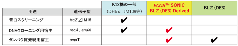 ECOS SONIC Competent E. coli BL21(DE3) Derived